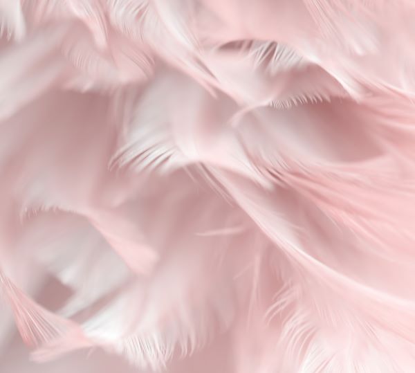 General interest Archives - Screen printing product and technical news ...